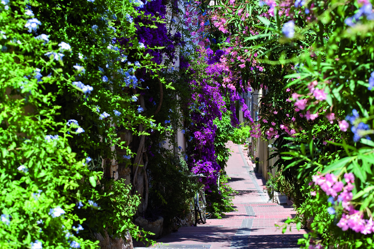 Visiter Antibes Juan-les-Pins en 2 jours | Site officiel de l'Office de ...